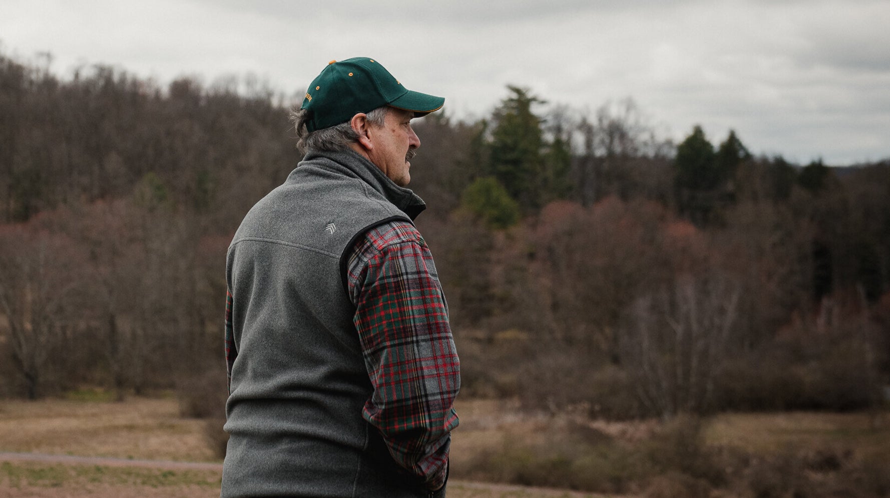 Family Forests Are Key To Fighting Climate Change. But They Need Help ...