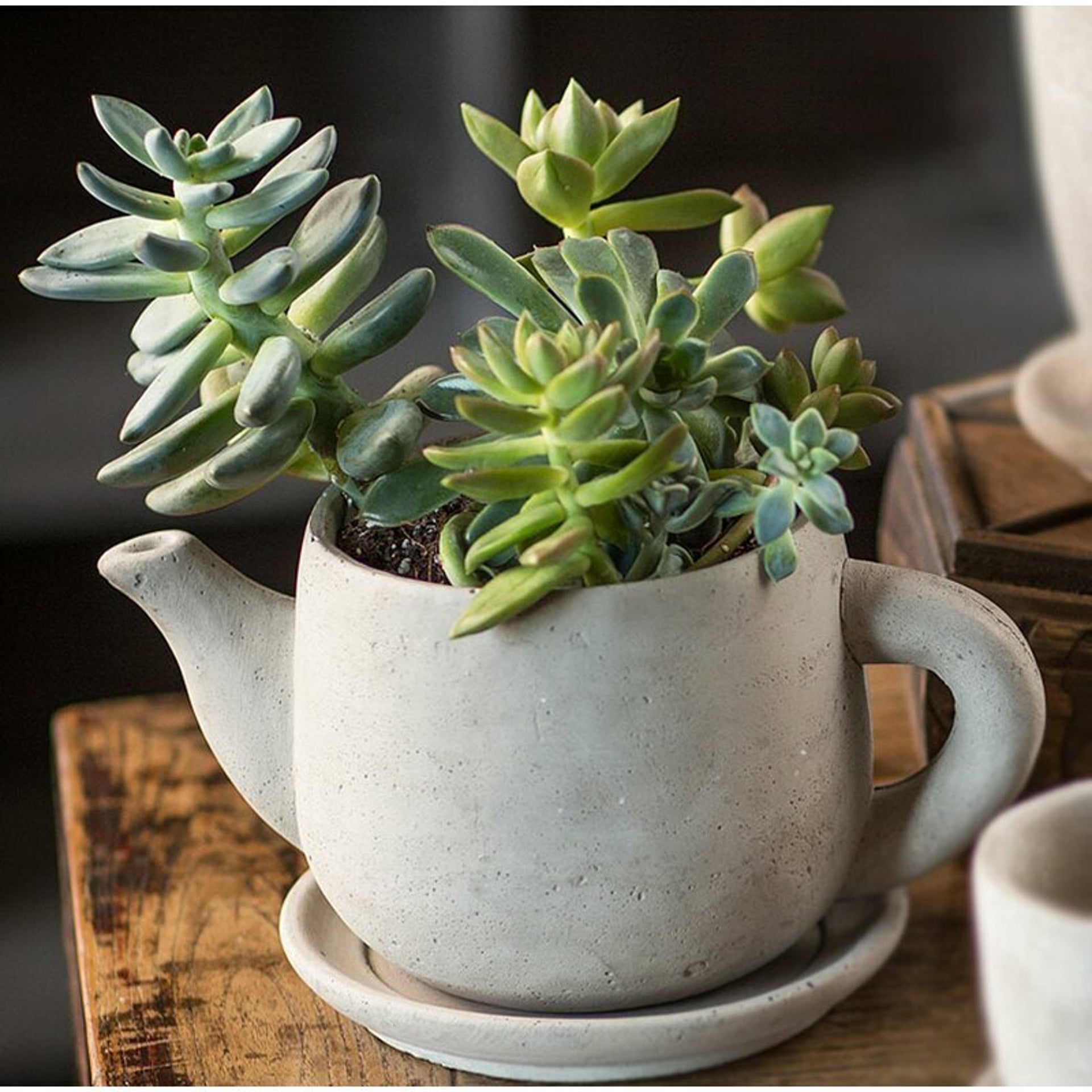 The 25 Cutest Pots And Planters For All Of That Gardening You're Doing ...