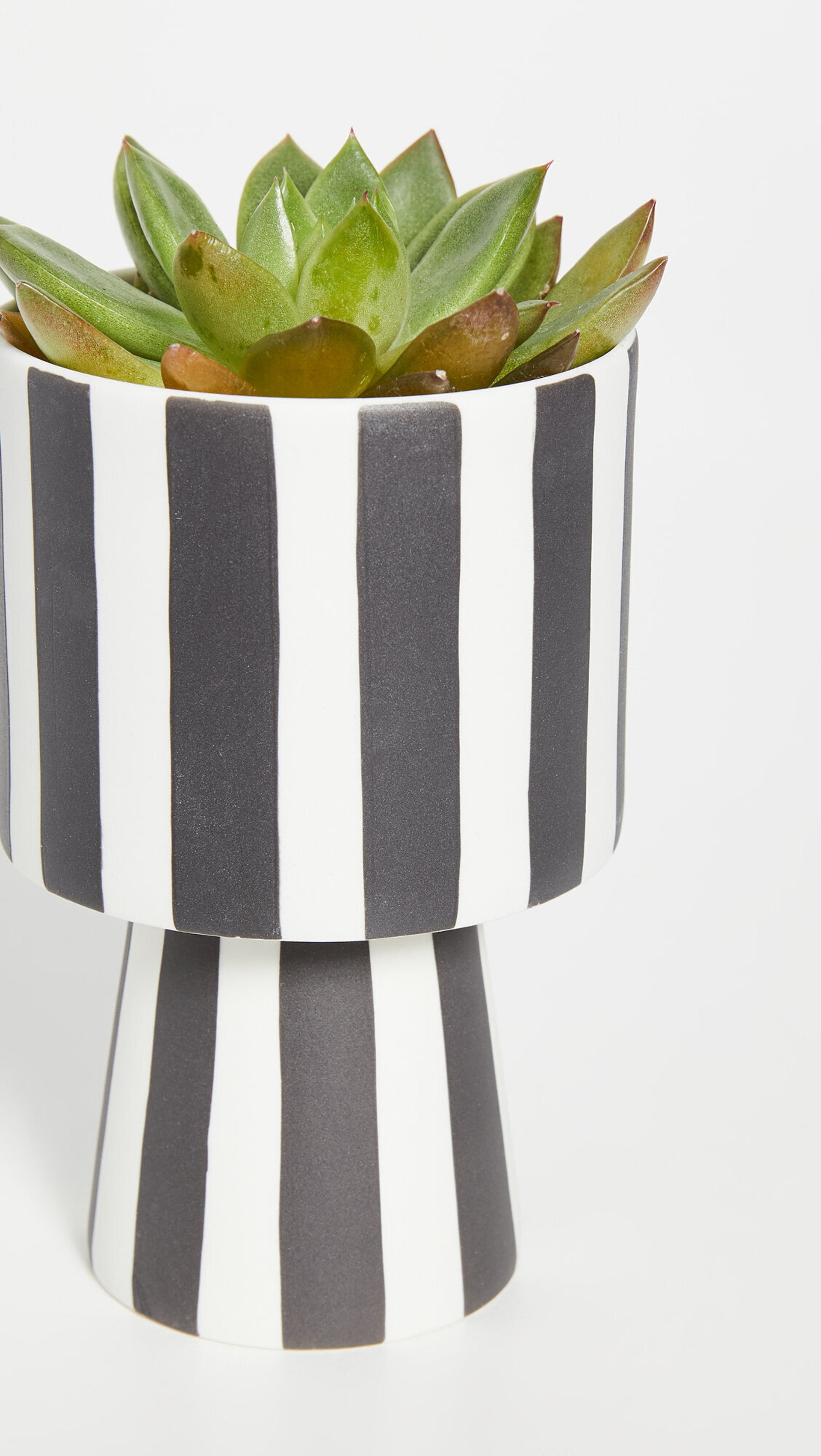 The 25 Cutest Pots And Planters For All Of That Gardening You're Doing ...