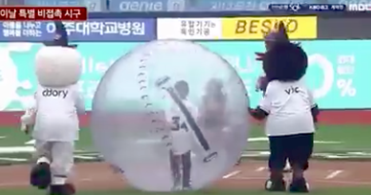 Baseball Season In South Korea Kicks Off With 'First Pitch' From Boy In ...