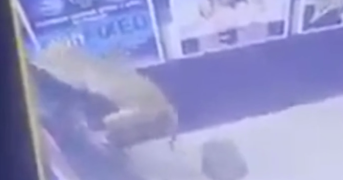 Monkey Breaks Into ATM, And The Surveillance Footage Is Bananas ...