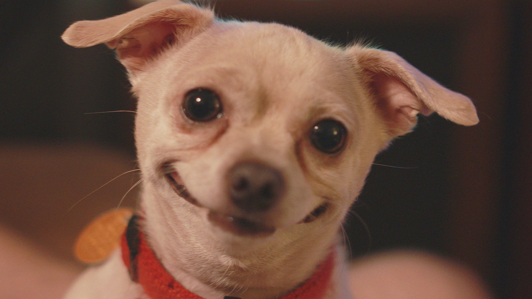 Next Friday Movie Dog