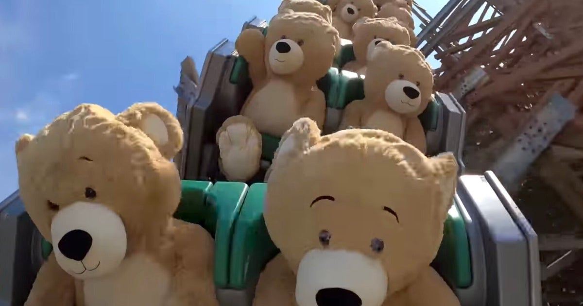 22 Teddy Bears On A Roller Coaster Are Having The Time Of Their Fluffy ...