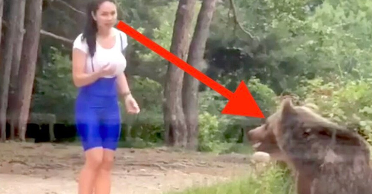 Here’s A Quick Lesson On Why You Should Never, Ever Approach A Bear ...