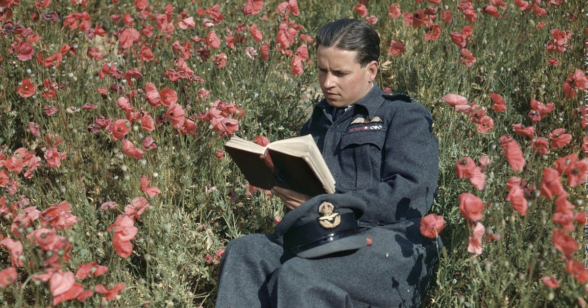 Memorial To Dambusters Dog Changed To Remove His Racist Name | HuffPost ...