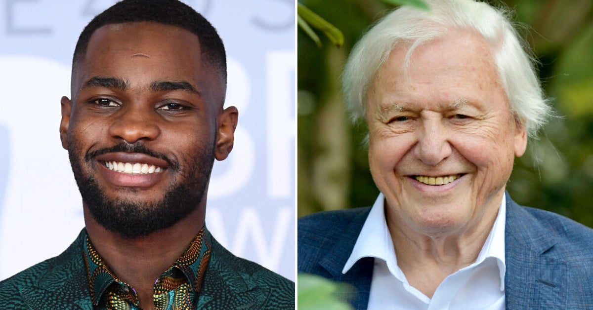 Dave And Sir David Attenborough Teaming Up For New Planet Earth TV ...
