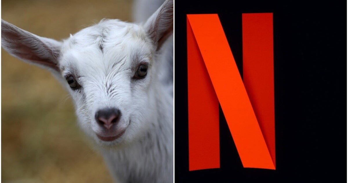 Sadly, Netflix Missed Out On Becoming The Actual GOAT Of Streaming ...