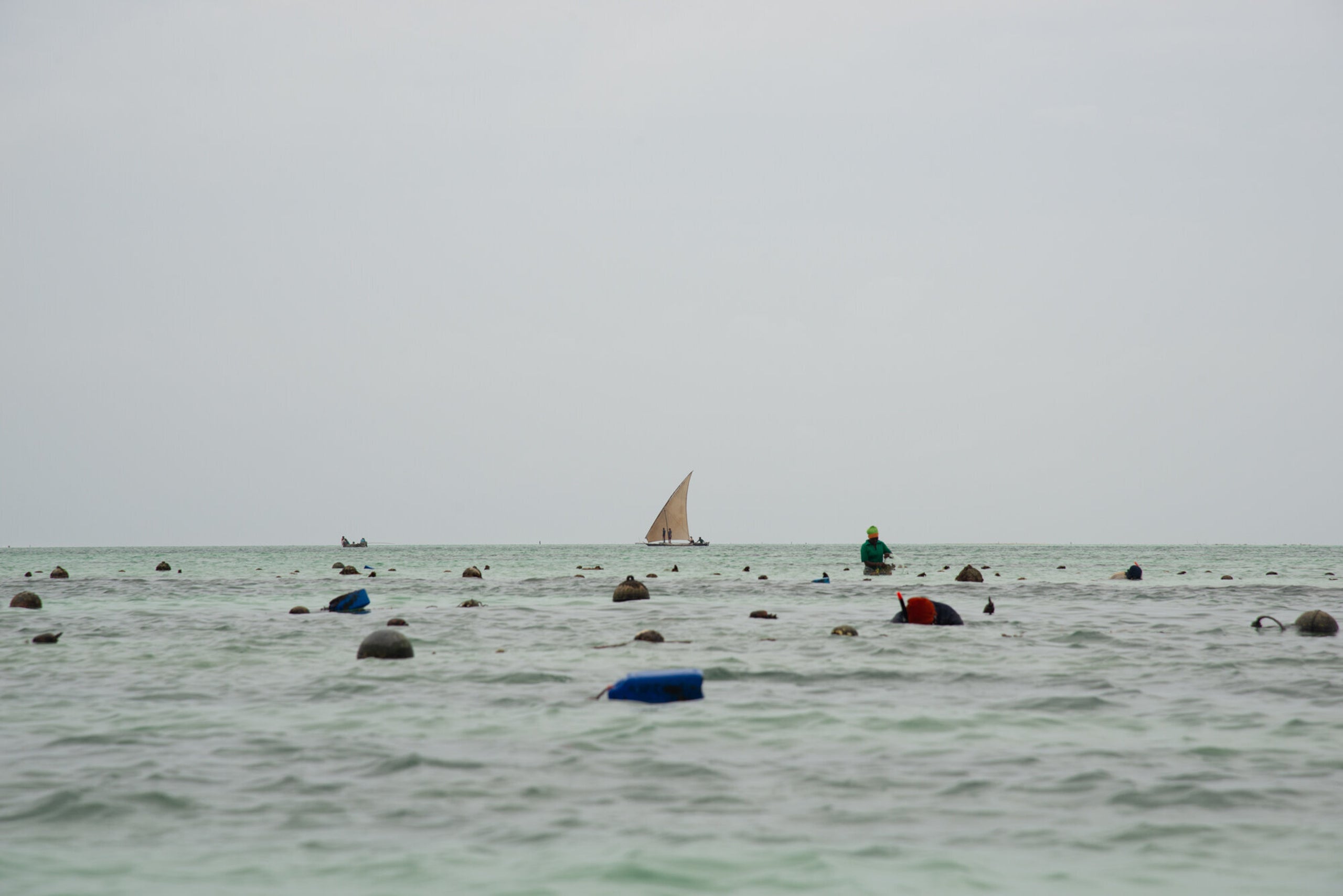 Meet The Underwater Sea Sponge Farmers Of Zanzibar | HuffPost Impact