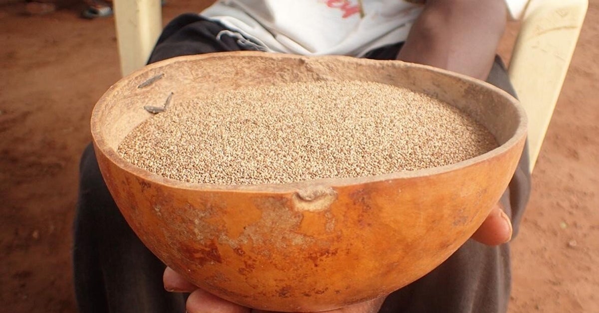 Fonio: Try This Nutrient-Packed Ancient Grain When You're Over Quinoa ...