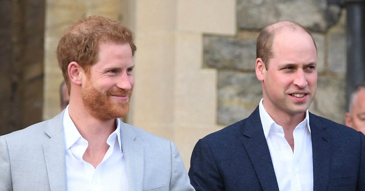 Prince William, Prince Harry Issue Rare Joint Statement For Princess ...