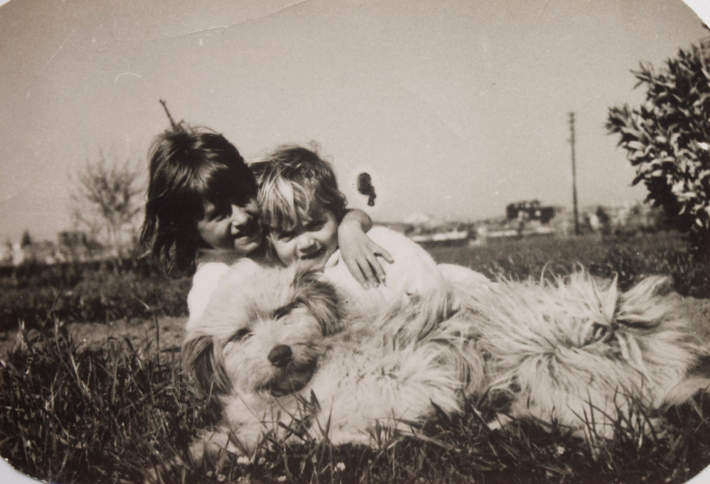 35 Questions You Never Thought To Ask Your Sibling But Should ...