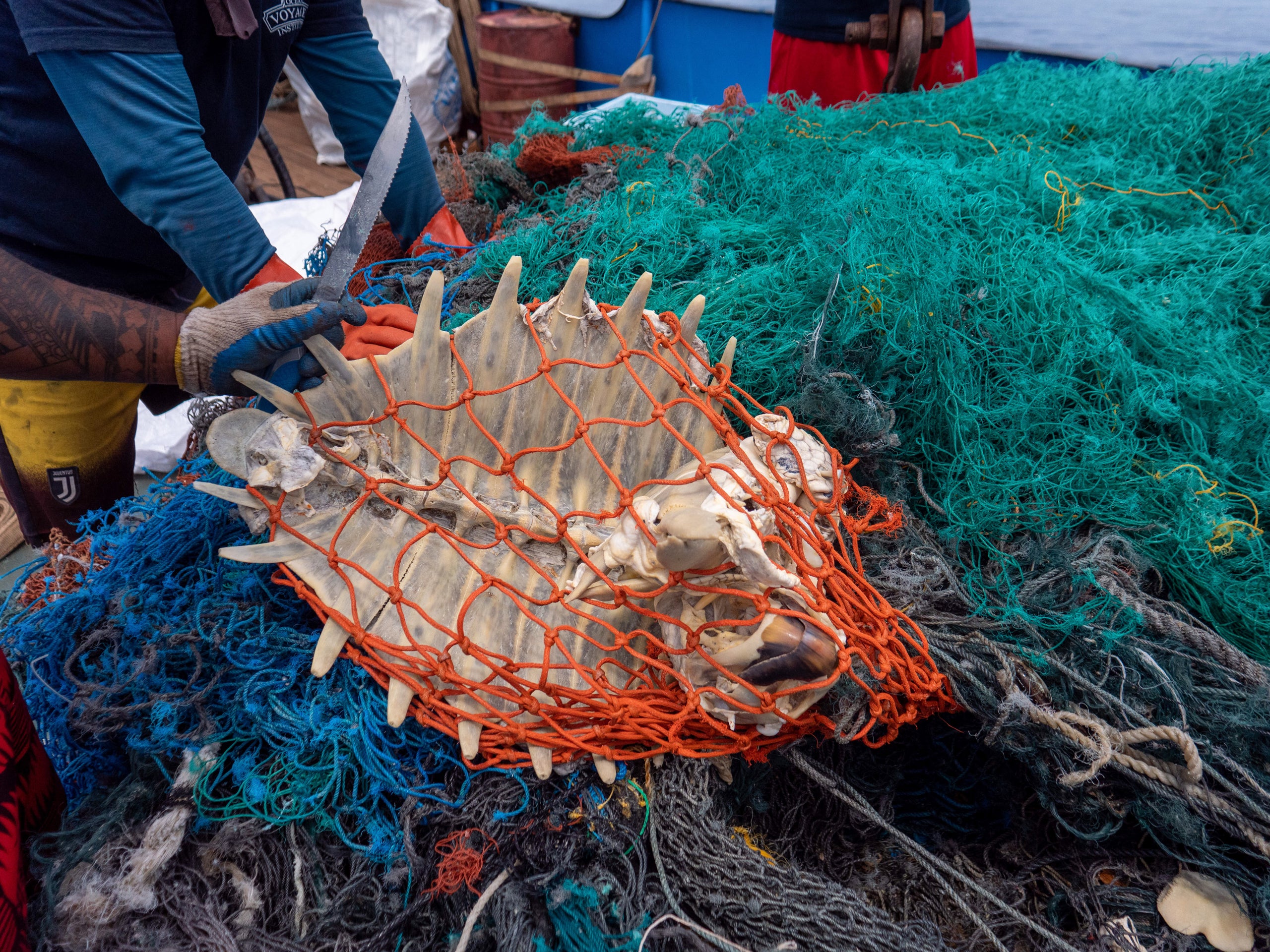 Don't Call It A Garbage Patch: The Truth About Cleaning Up Ocean ...