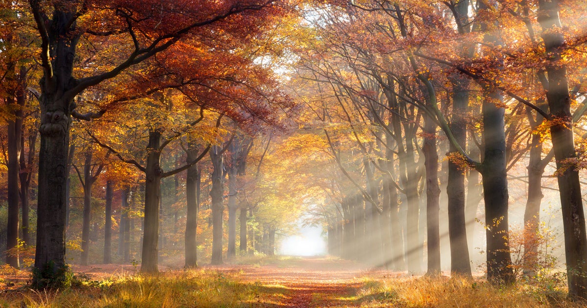 Why You Should Embrace Autumn, Even If You're Feeling A Little Wobbly ...