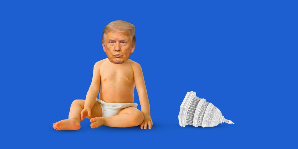 The Useful Idiot | HuffPost