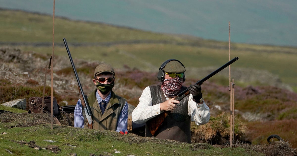 Grouse Shooting And Hunting Exempt From Johnson's 'Rule Of Six' Covid ...