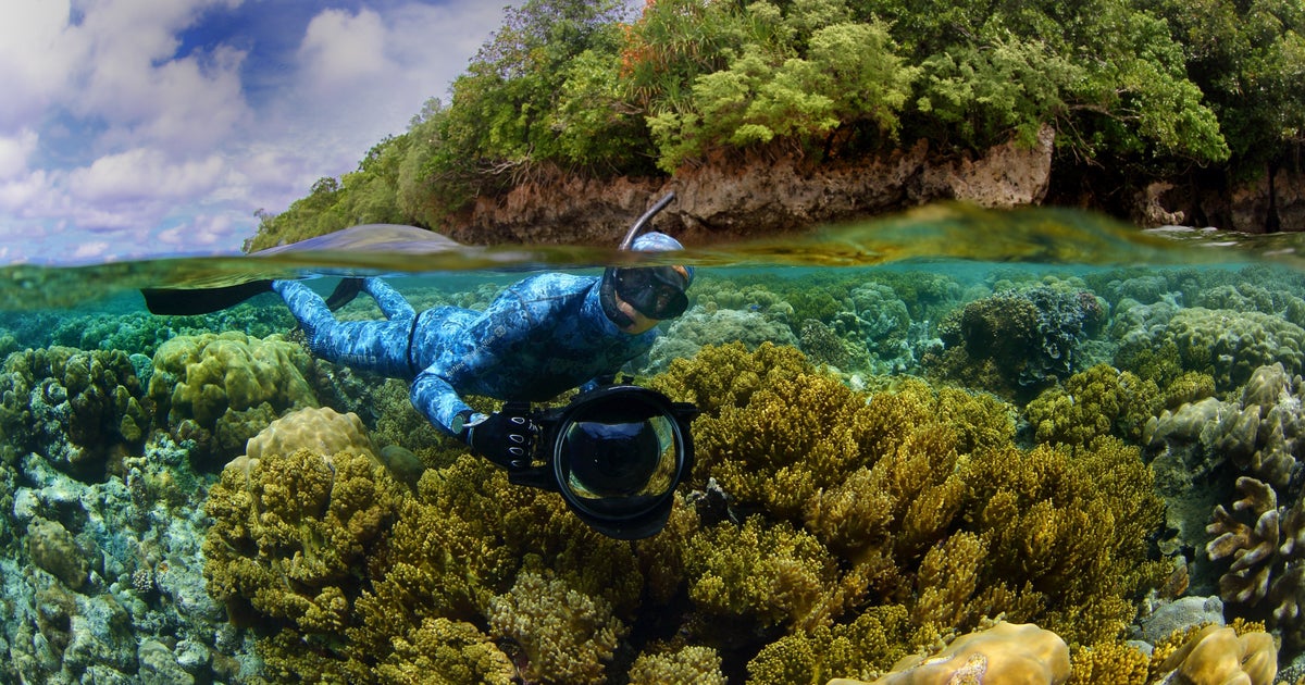 An Explorer Debunks 5 Myths About Saving The Earth | HuffPost Impact