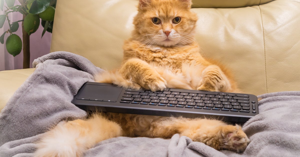 There Are Nine Different Types Of Humor. Which One Are You? | HuffPost ...