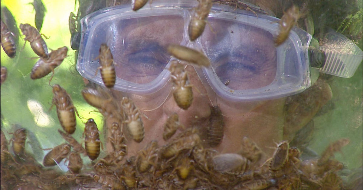 Fatima Whitbread Shares Grim Story About Infamous I'm A Celebrity ...