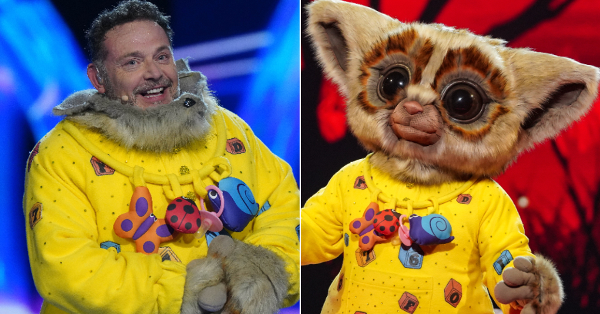 The Masked Singer's John Thomson Gets Real About Performing As Bush ...