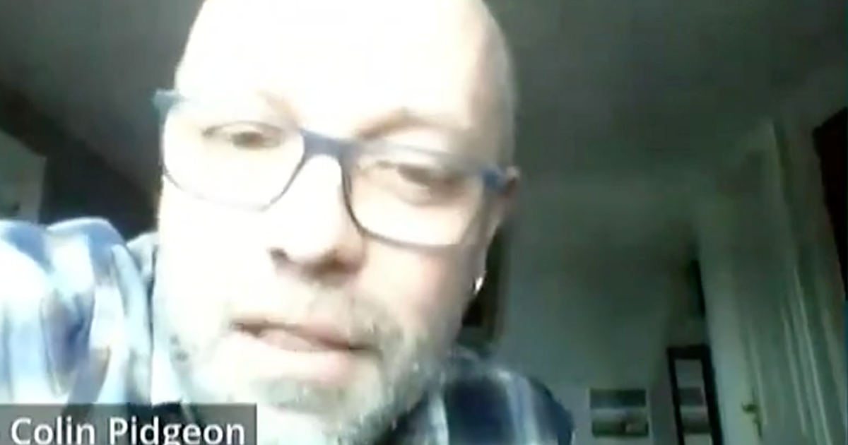 Colin Pidgeon Catches Pigeon During Government Zoom Meeting | HuffPost ...