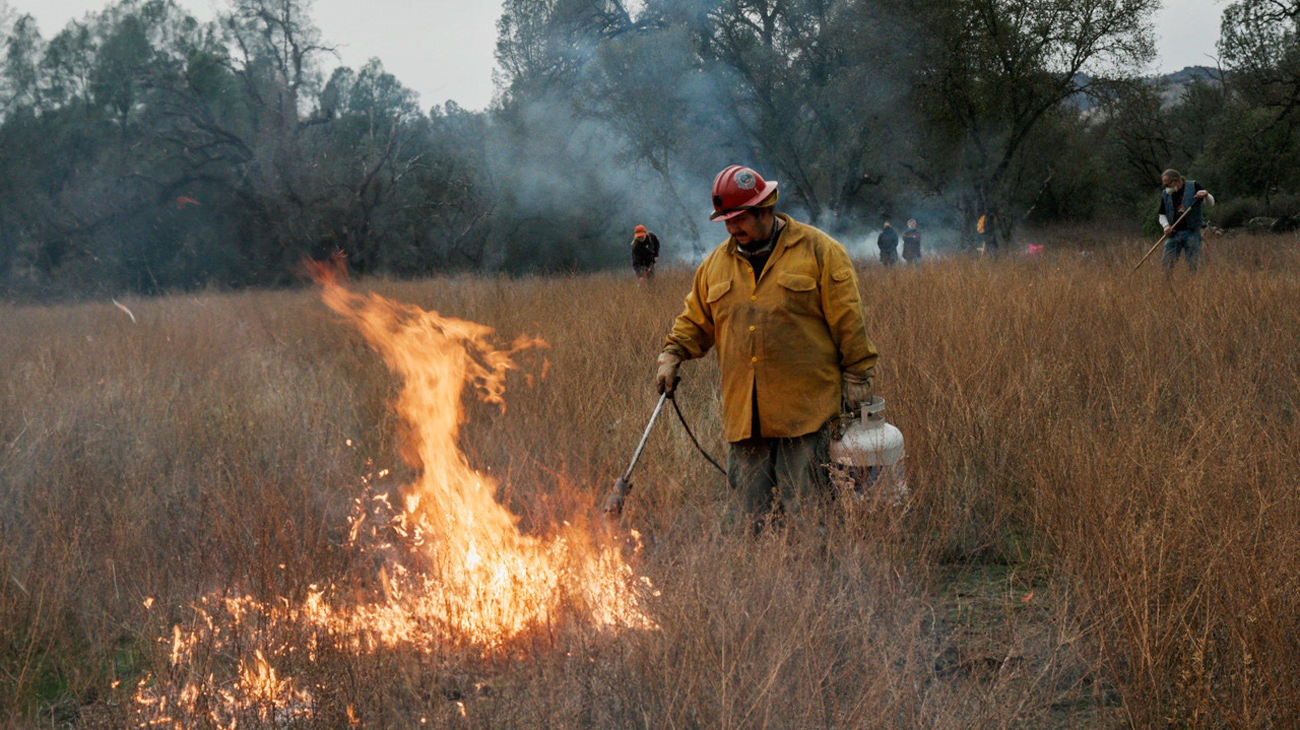 Living With Fire: What California Can Learn From Native Burns ...