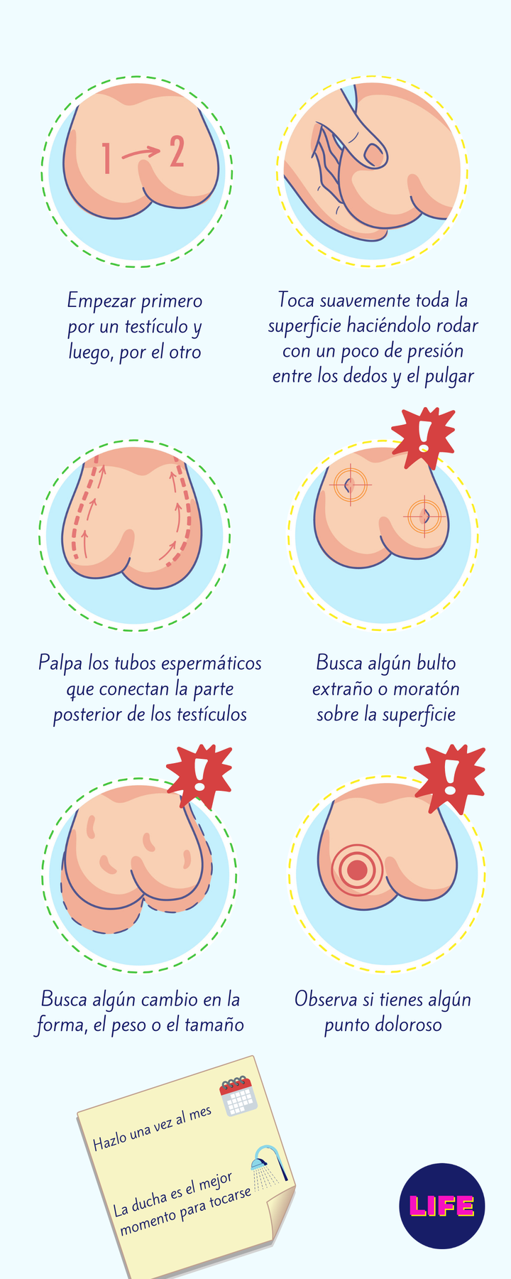 ¡tócate Los Huevos Cómo Explorarse Para Detectar El Cáncer De