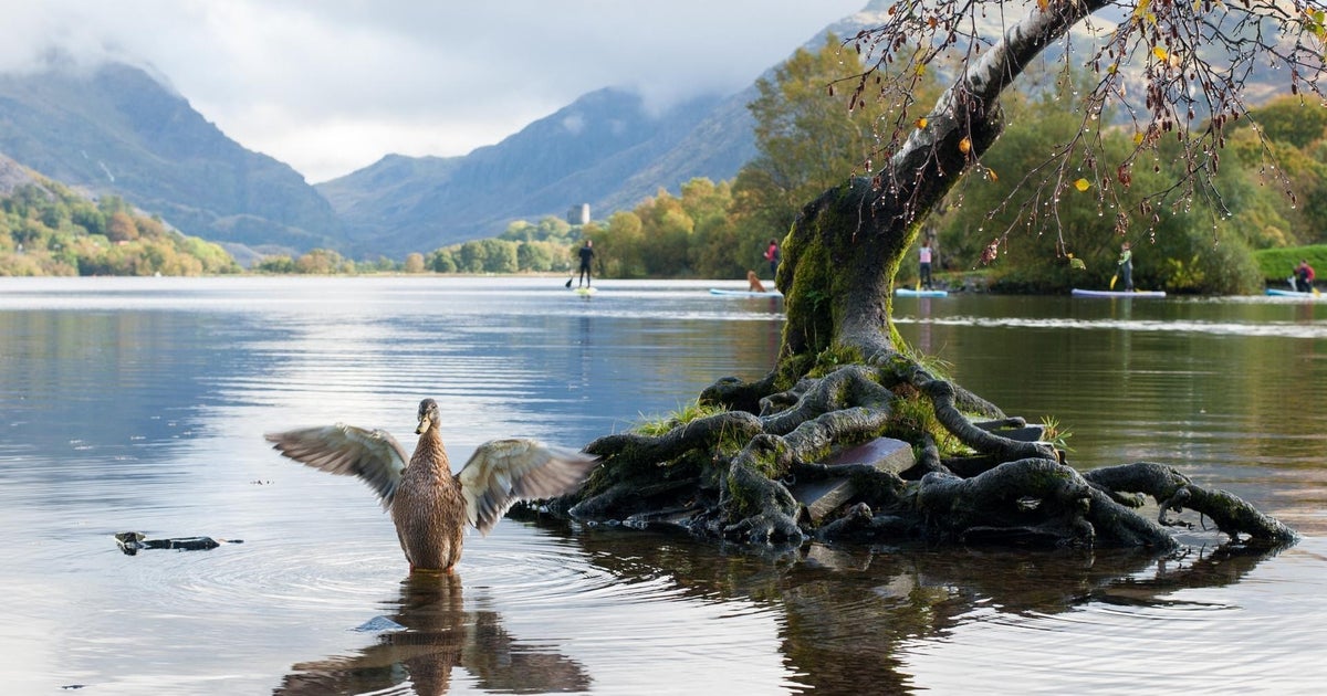 10 Of The Best Photos Celebrating British Springtime | HuffPost UK Life