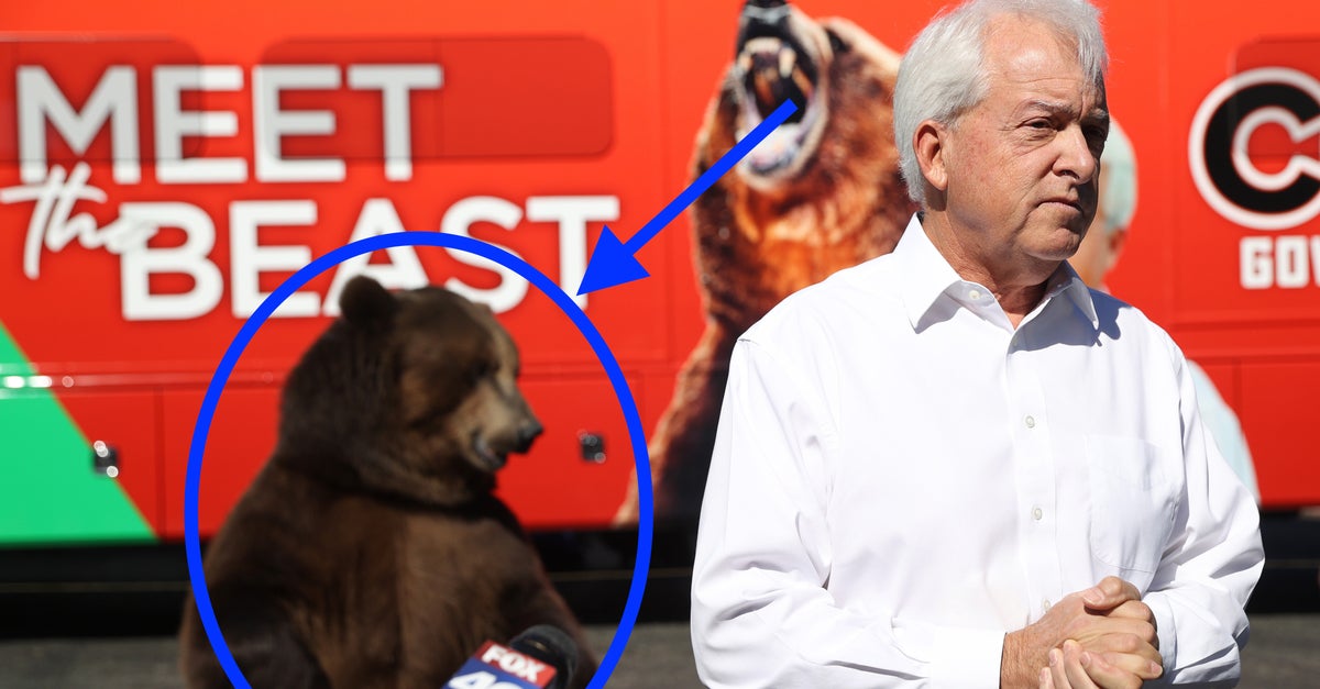 Bear Stunt By GOP California Gov Hopeful Slammed By Animal Rights ...
