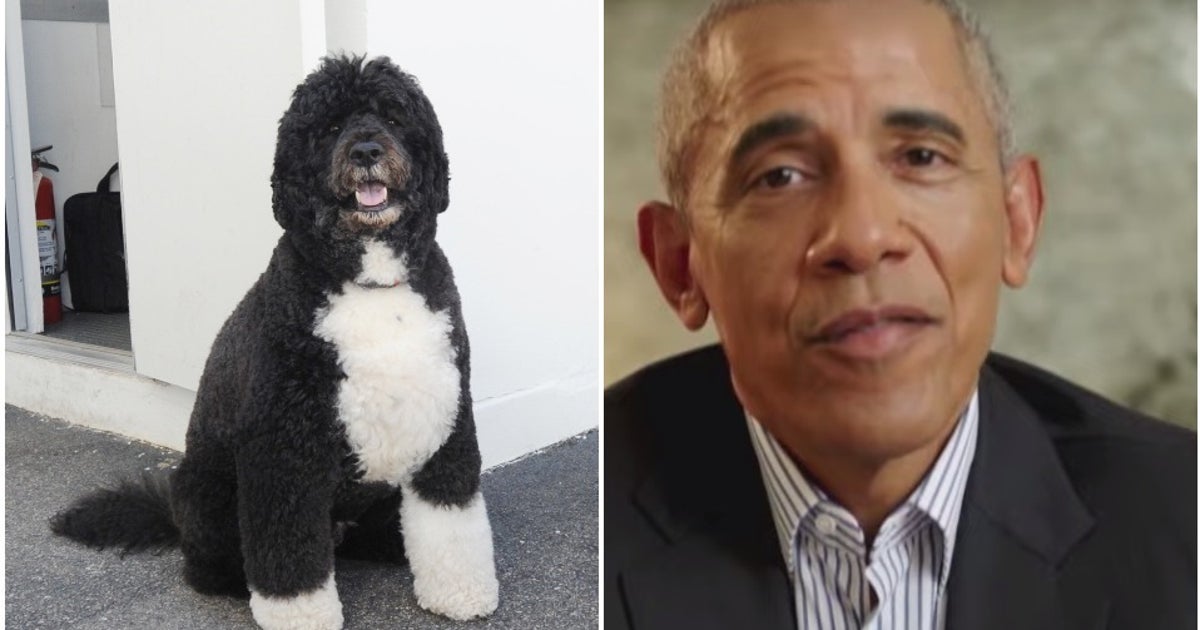 Barack Obama Was Heartened By How Trolls Responded To The Death of His ...