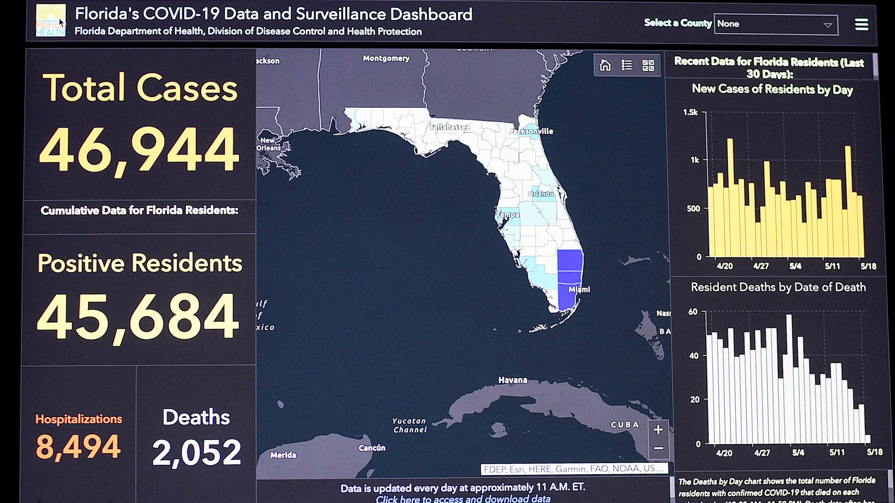 Florida Data Scientist Rebekah Jones Granted Whistleblower Status ...