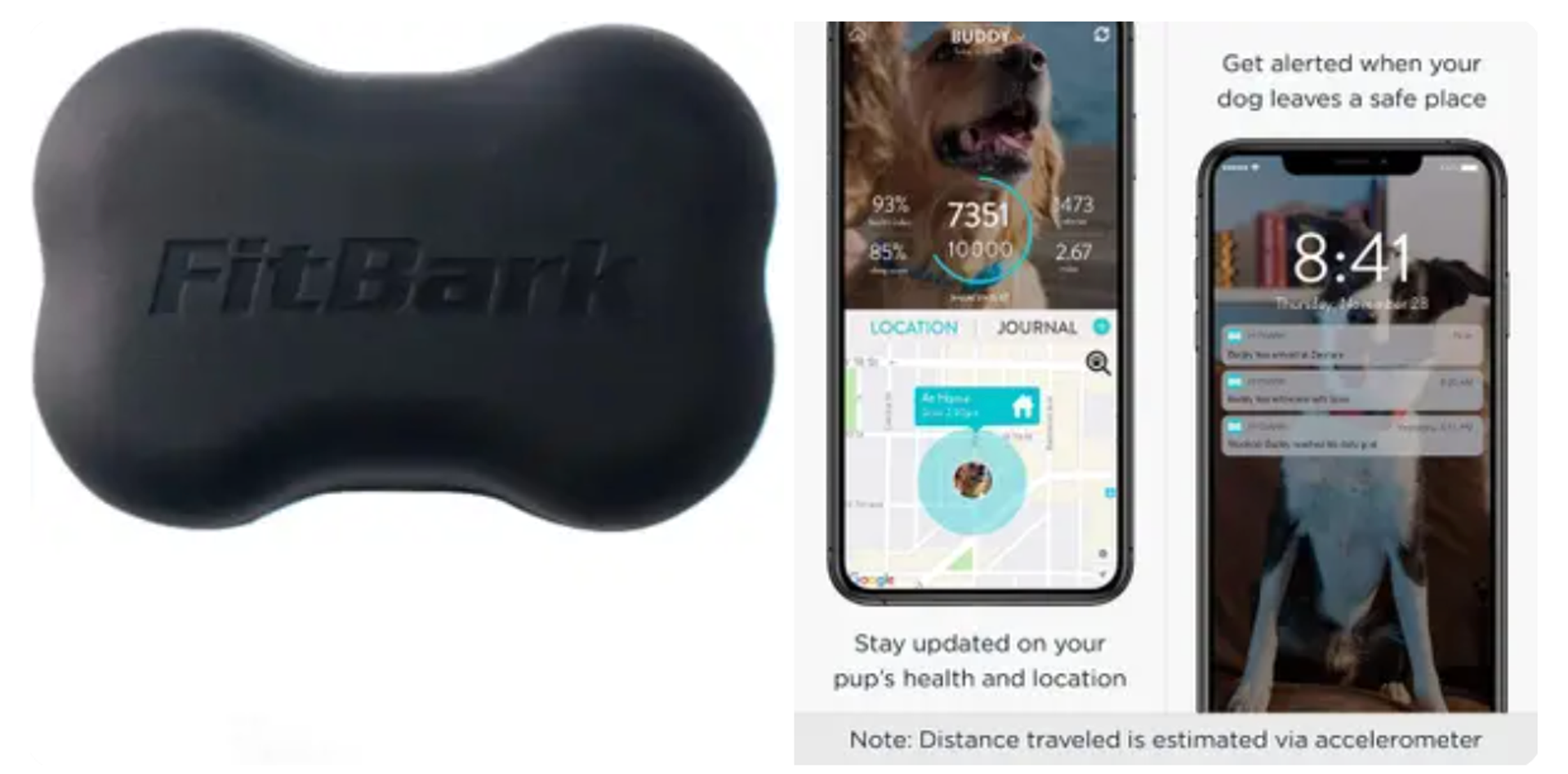 20 Things From Amazon That'll Help You Exercise With Your Dog More ...