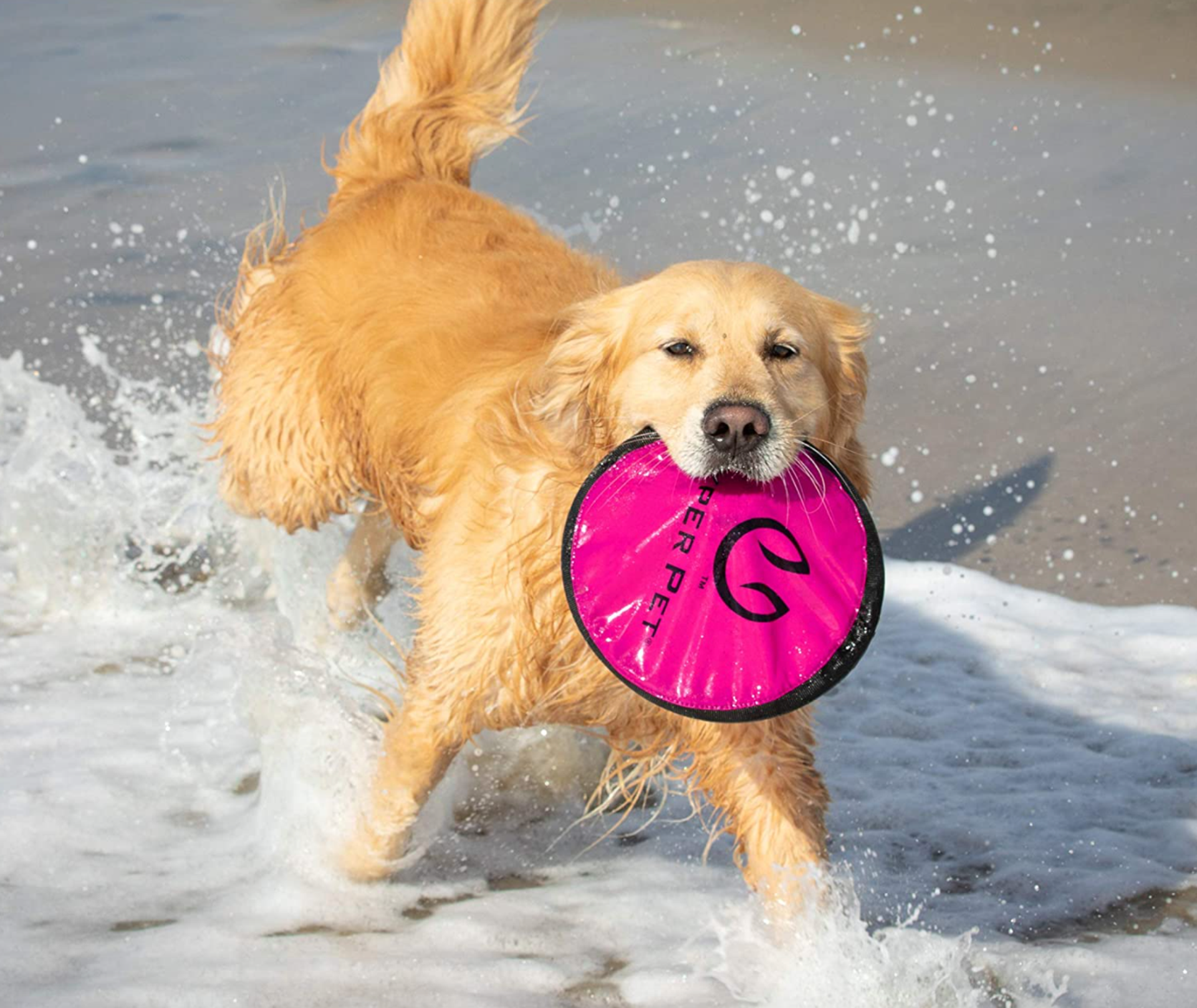 20 Things From Amazon That'll Help You Exercise With Your Dog More ...