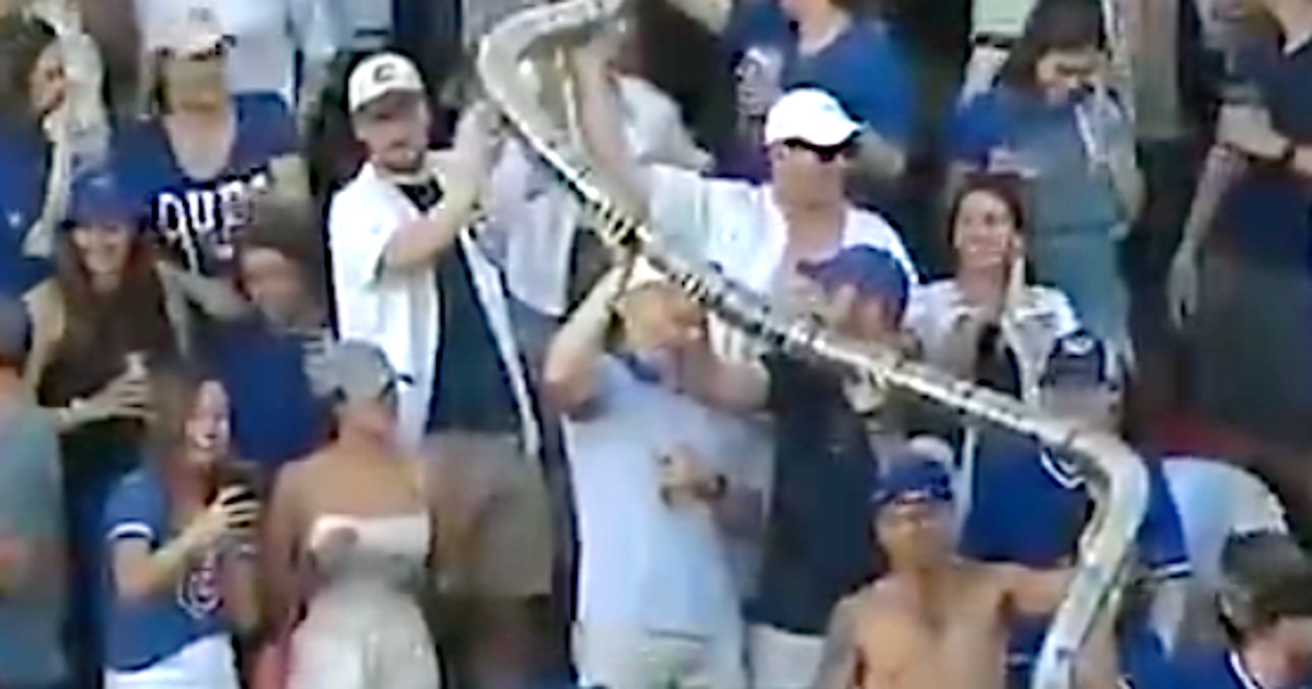 Massive Beer Snake At Chicago Cubs Game Slithers Into Fans' Hearts ...