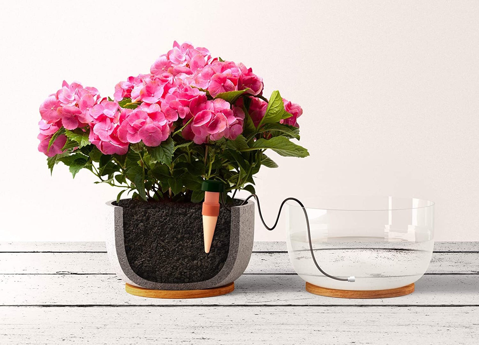 Best Plant Products For Indoor Houseplants | HuffPost Life