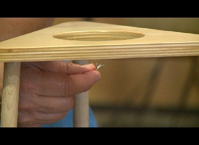 Wendy's Fries Had Maggot Crawling In Them, Woman Claims (Mealbreakers ...