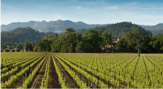 Margrit Biever Mondavi: The Woman Who Tied Art, Chefs and Music to Napa ...