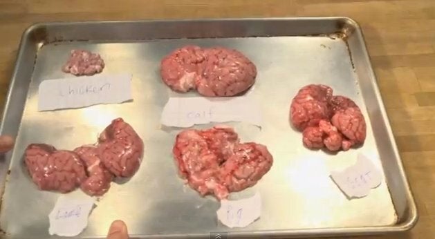 Raw Brain Taste Test Finds Baby Calf Most Palatable (VIDEO) | HuffPost Life