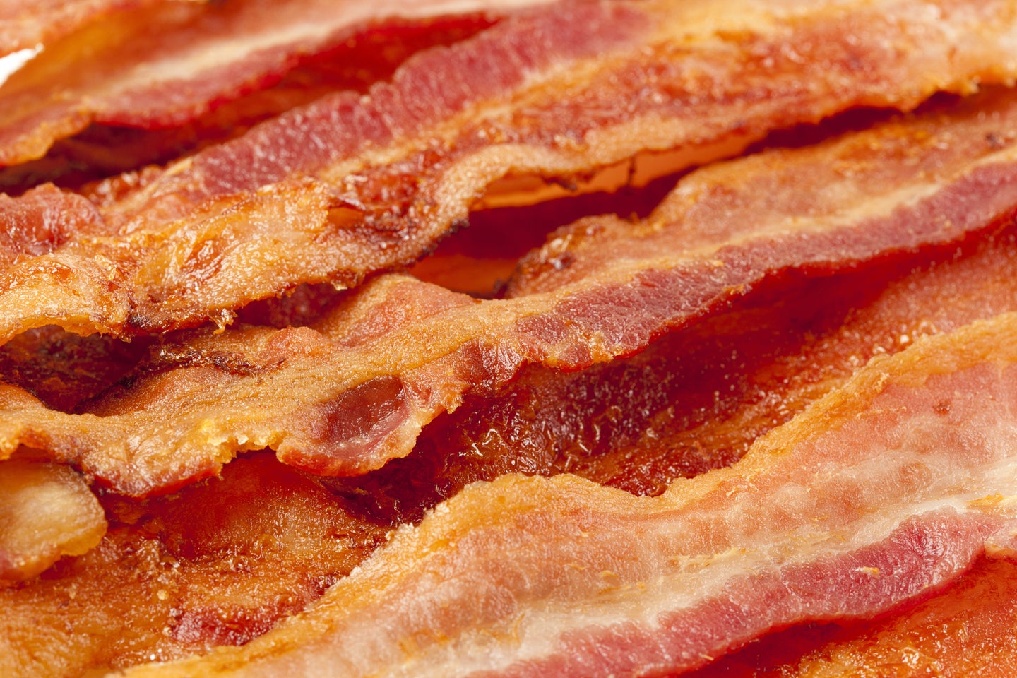 Most Expensive Bacon Sandwich In The World Costs $235 | HuffPost Life