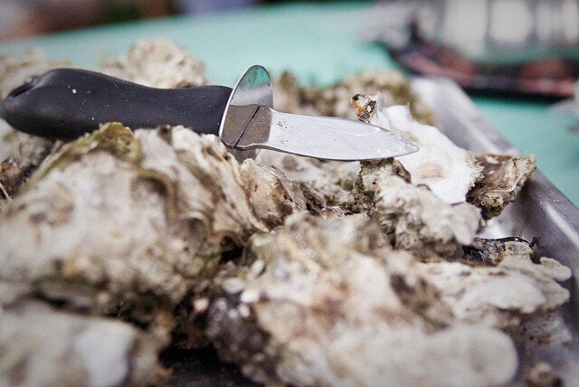 Oyster Reefs Are Disappearing: Foodies Fine, Ocean Sad | HuffPost Life