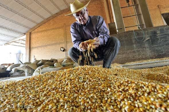 Monsanto's Patent On Genetically Modified Seeds Challenged | HuffPost Life