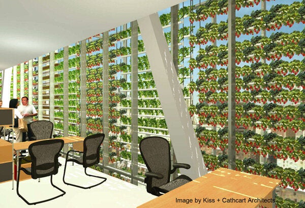 Hydroponics On Your Windows: Cool, Efficient Vertical Farming ...