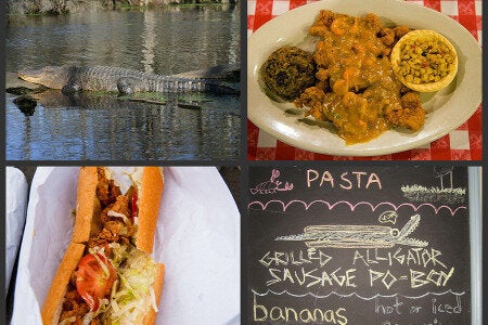Alligator: The Ultimate Locavore Food? | HuffPost Impact