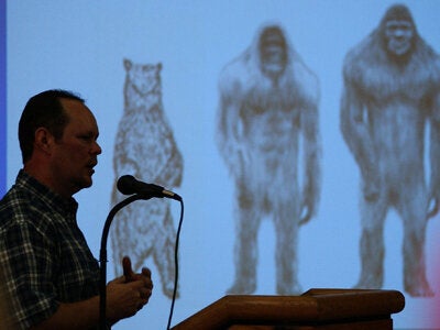Bigfoot Found? Researchers To Present DNA Evidence On Friday | HuffPost ...