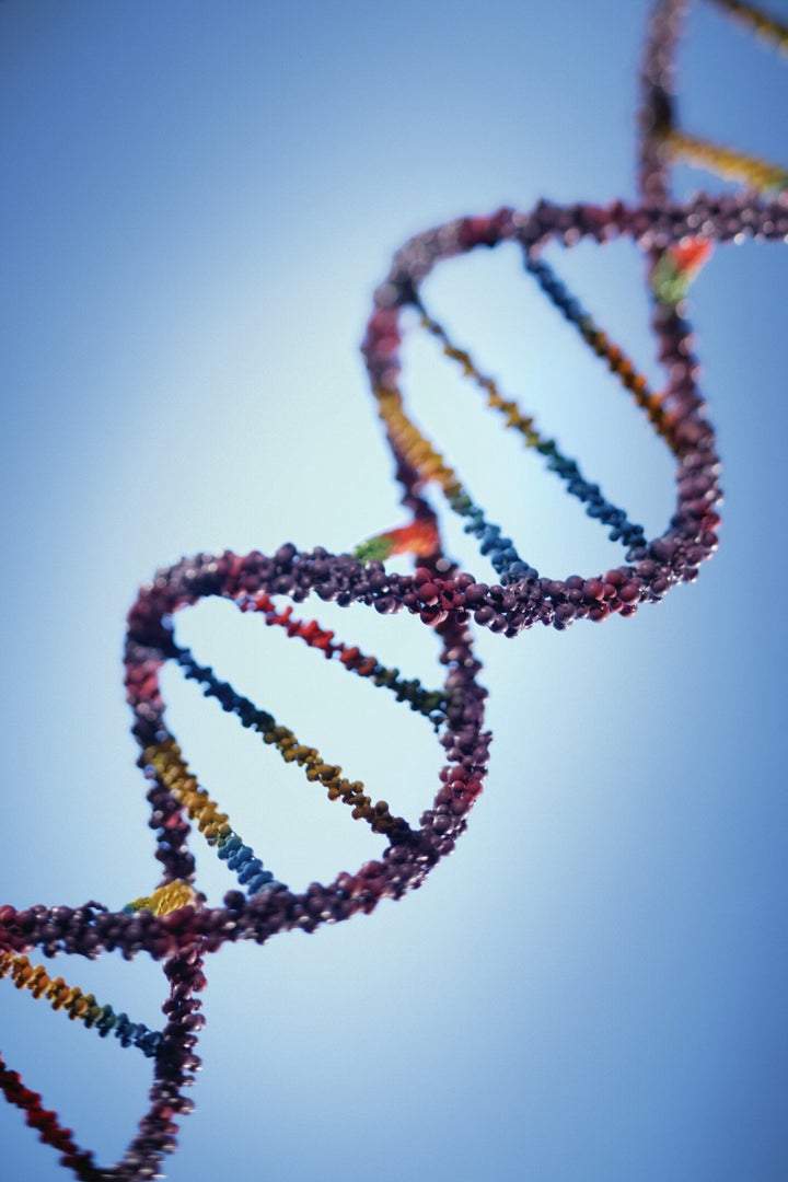 Newly Discovered Genes Are Linked To World's Biggest Killer | HuffPost ...