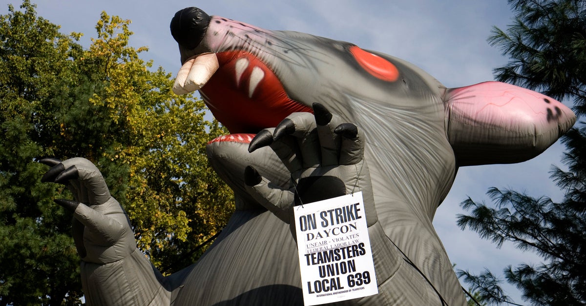 Scabby The Rat, Union Protest Icon, Survives Legal Challenge From Trump ...