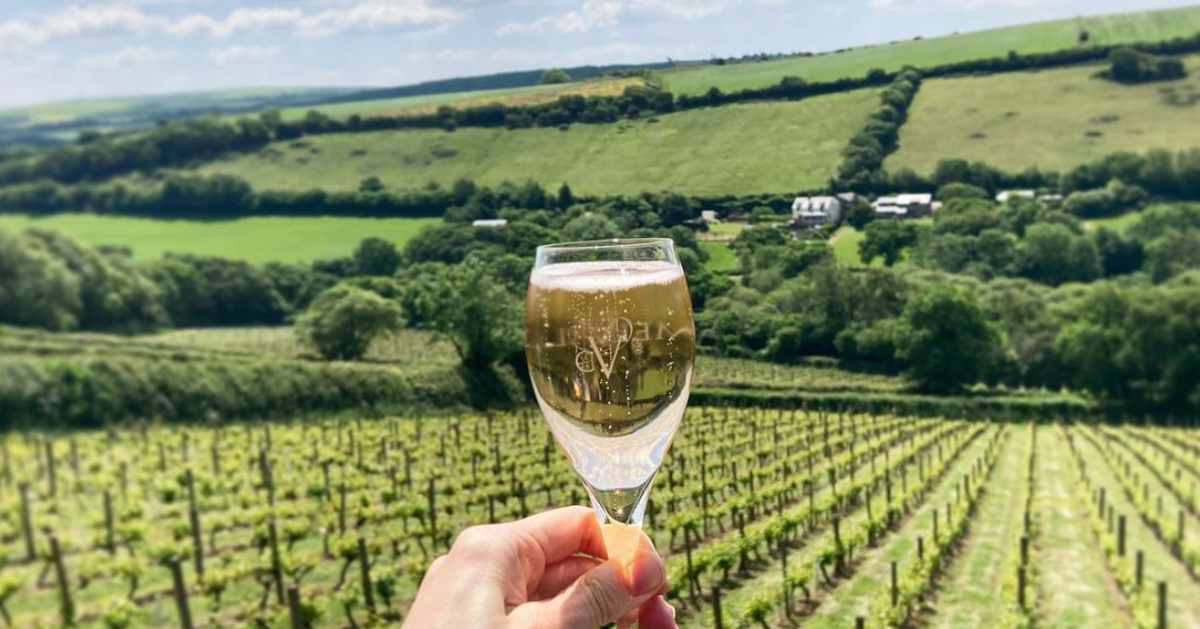 10 Beautiful British Vineyards You'll Absolutely Want To Visit ...