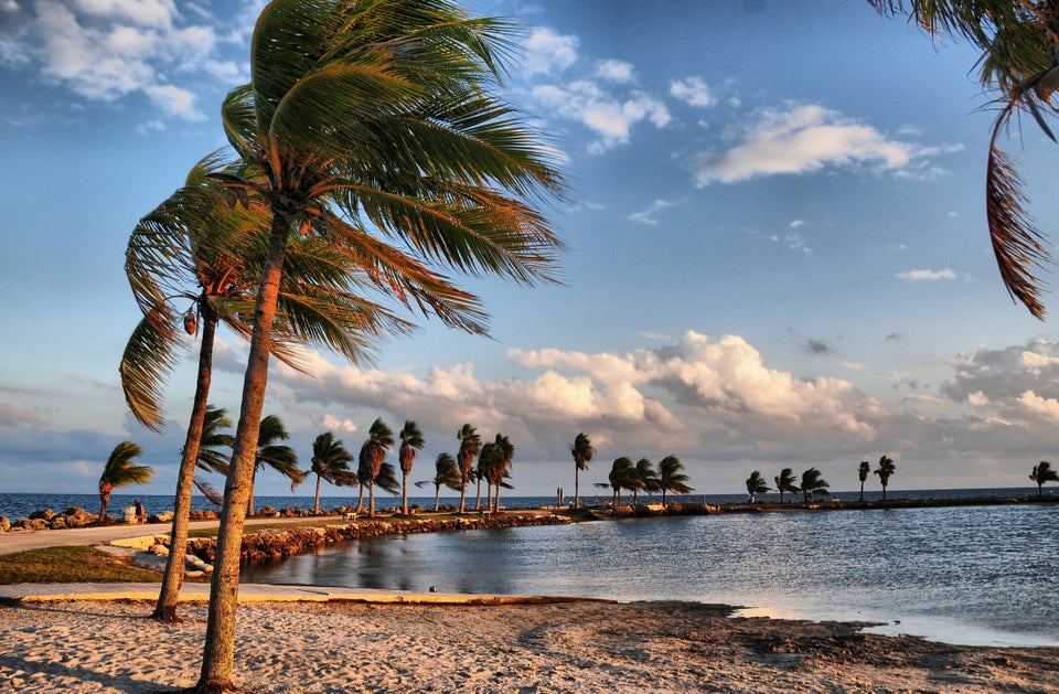 19 impresionantes paisajes que te convencerán de viajar a Miami antes ...