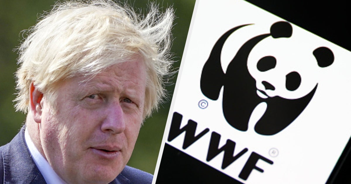 WWF Slams Government Over Their Climate Change Promises | HuffPost UK News