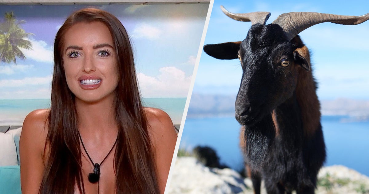 Love Island's Amy Day Reveals Local Goats Have Caused A Major Headache ...