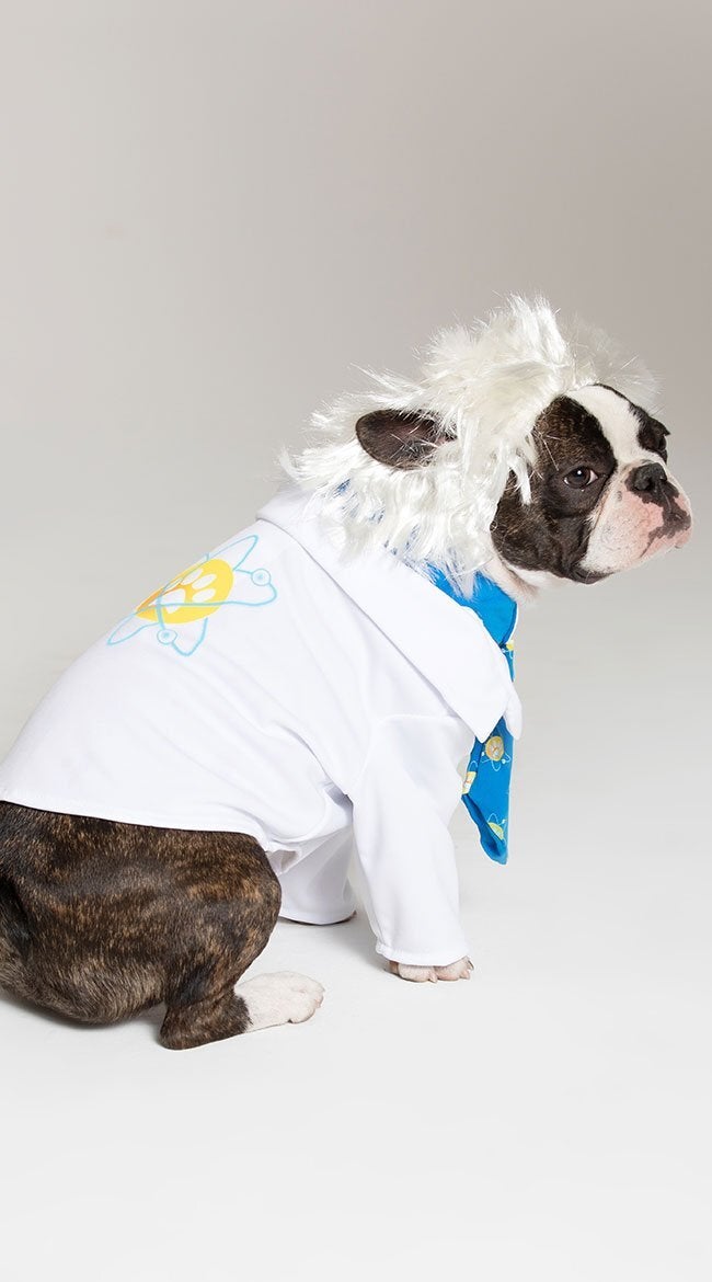 Don't Be Chicken To Wear 2021's Weirdest Halloween Costumes | HuffPost ...